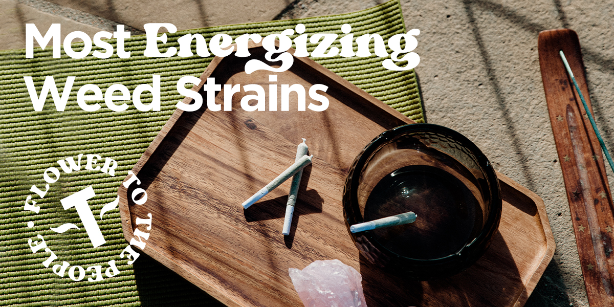 Top Weed Strains for Energy | Feel Energized with these strains