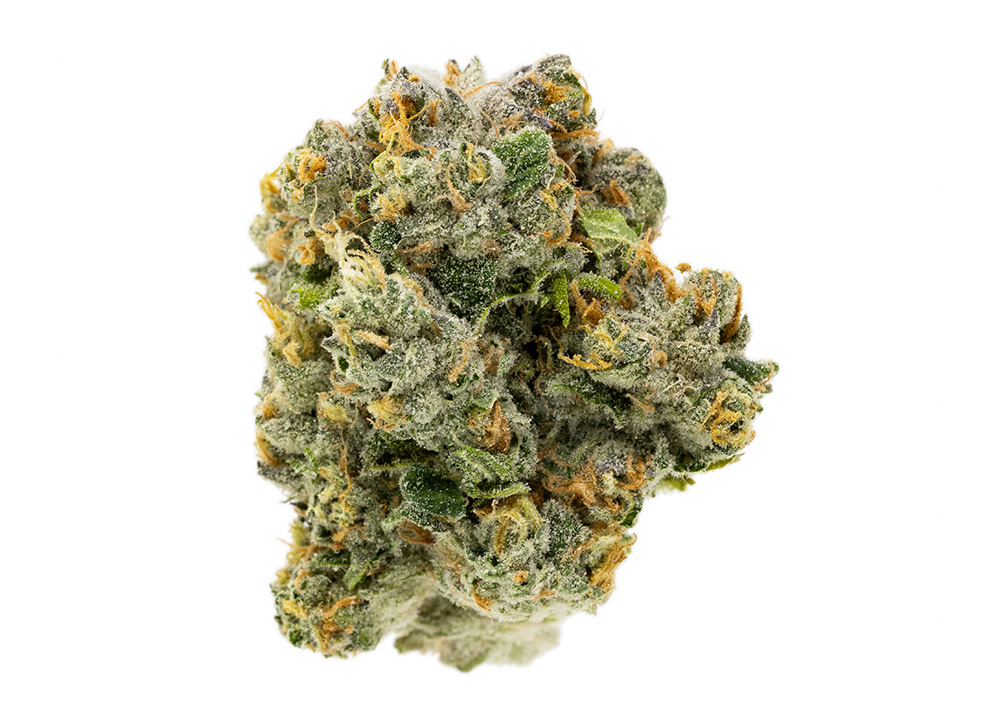 Terrapin Cannabis - Pennsylvania Cannabis Retailer and Grower