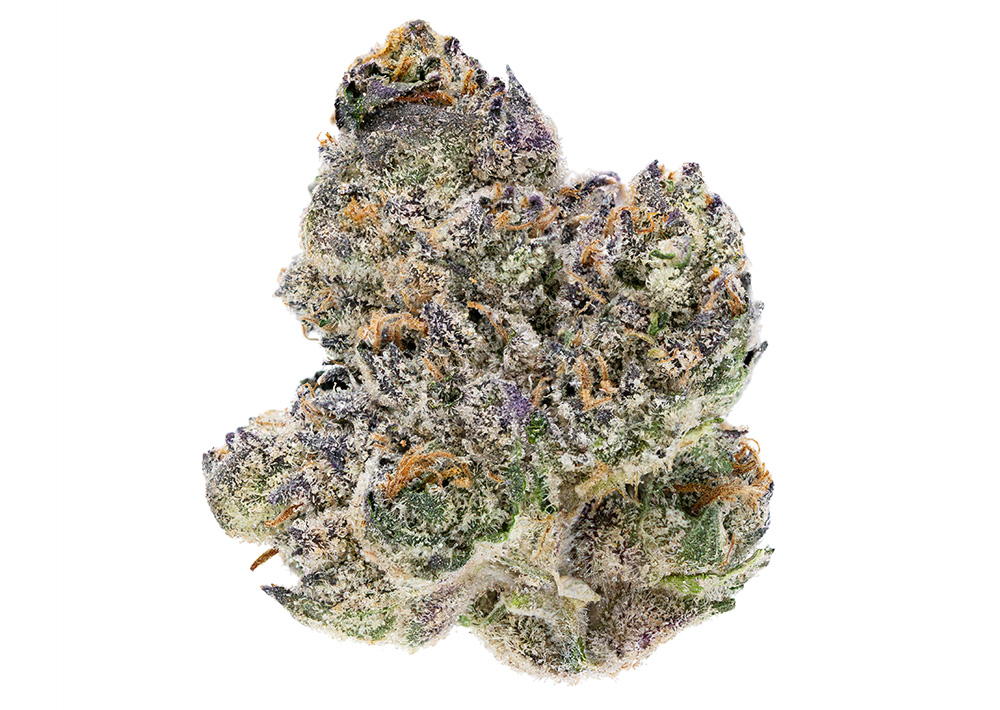 Terrapin Cannabis - Pennsylvania Cannabis Retailer and Grower
